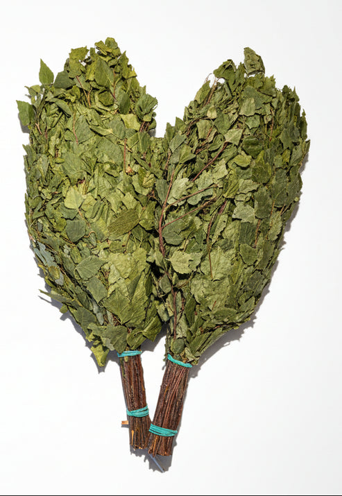 Birch whisk – Teralife