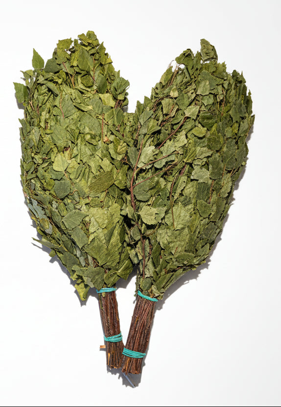 Birch whisk – Teralife
