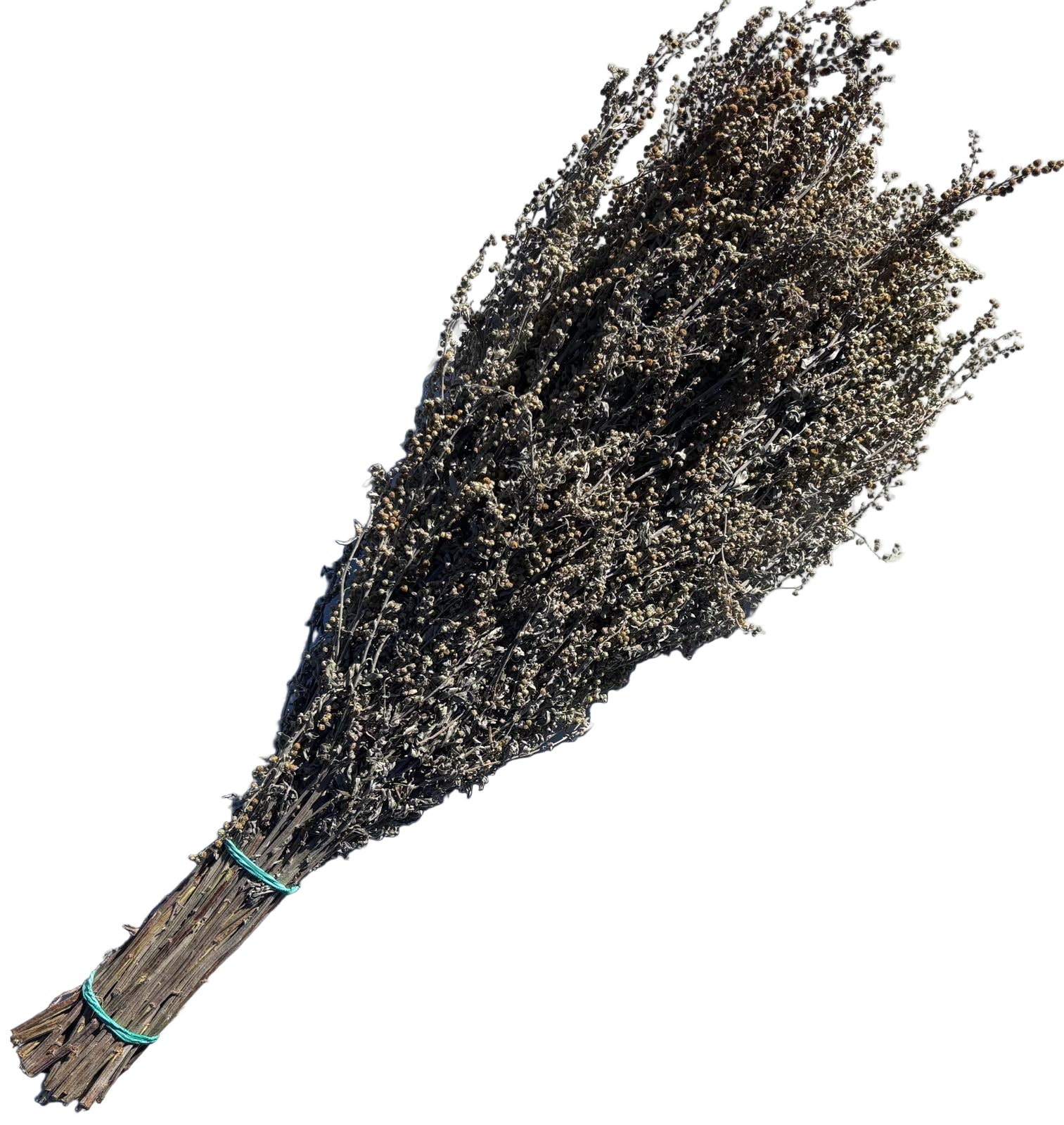 Common wormwood whisk/bouquet – Teralife